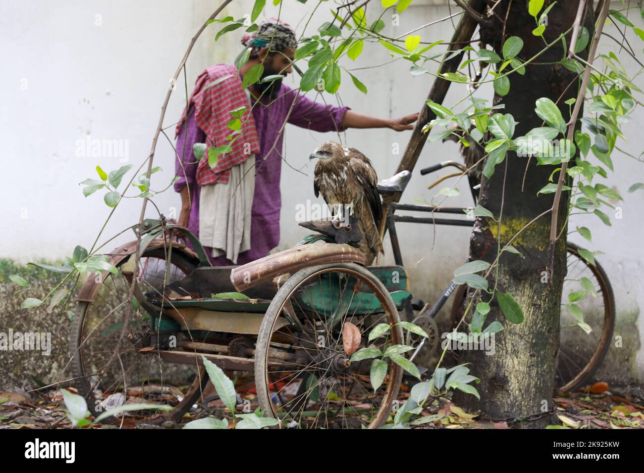 Dhaka, Bangladesh. 25th Oct, 2022. Incessant heavy rain accompanied by ...