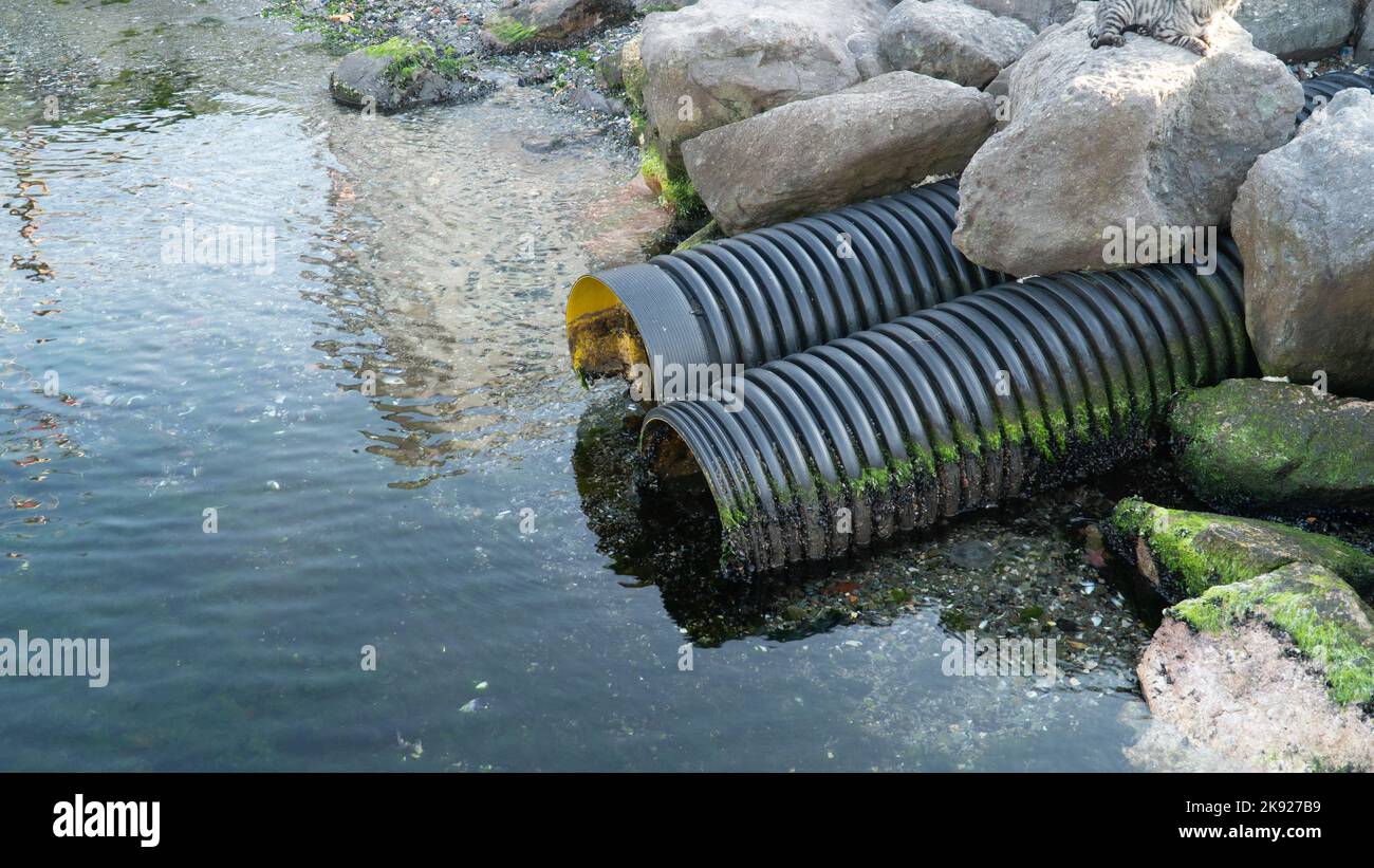 Sewage dumping in the ocean. Sewage pollution causes environmental ...