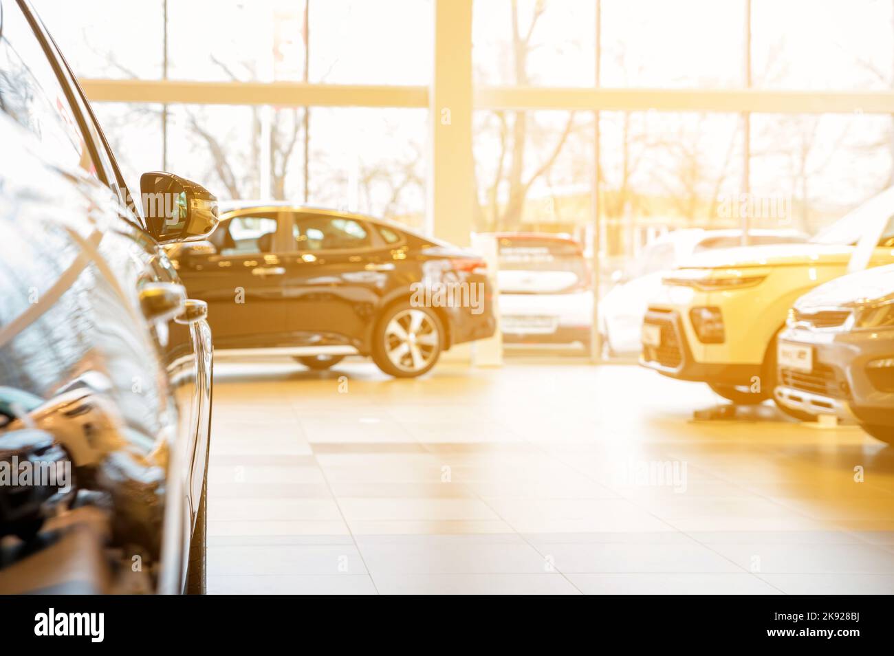 Stock of cars in showroom of automobile dealer Stock Photo - Alamy