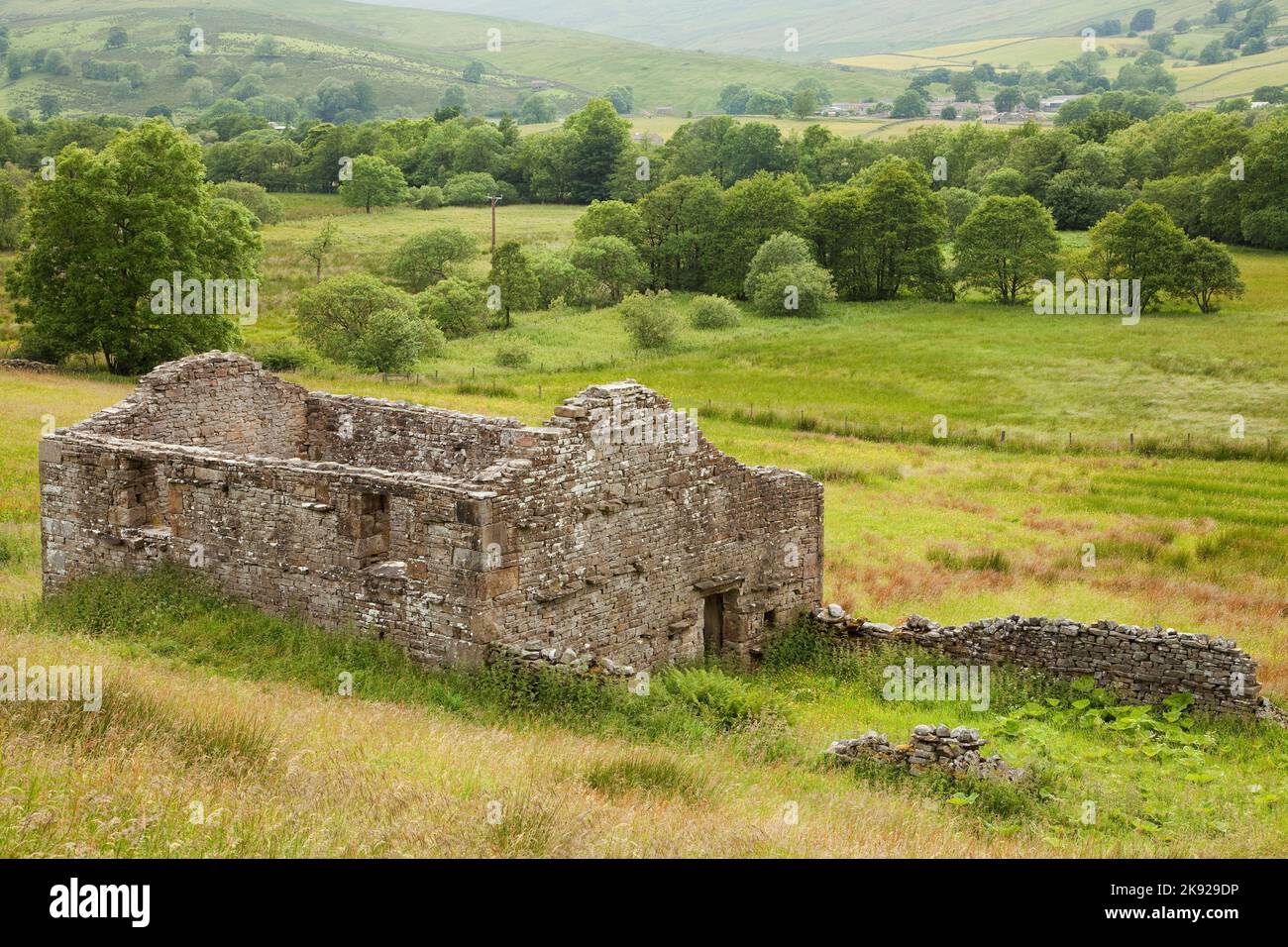 A ruined barn in Raydale, in the Yorkshire Dales, UK Stock Photo - Alamy
