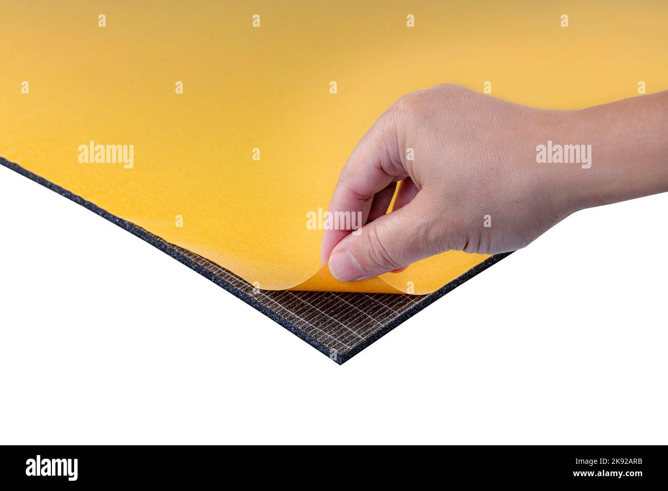 Sponge Absorbing Waves