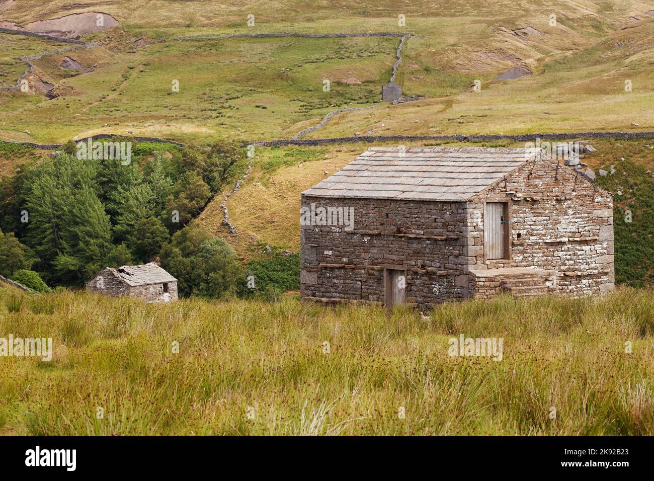 Barns in Whitsundale, Swaledale, Yorkshire Dales, UK Stock Photo - Alamy