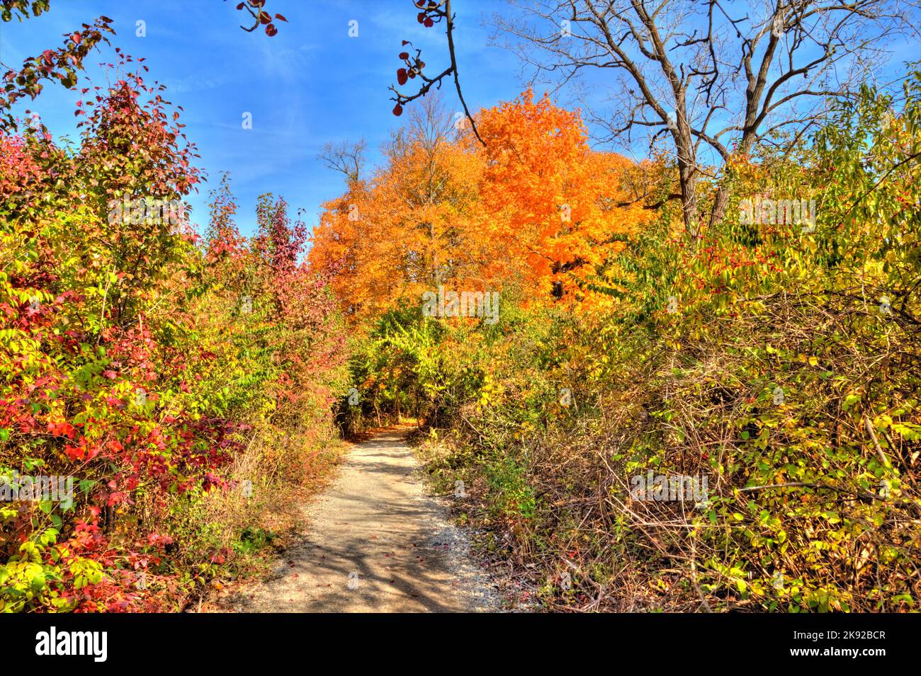 Autumn, Quarry Trails Metro Park, Columbus, Ohio Stock Photo - Alamy