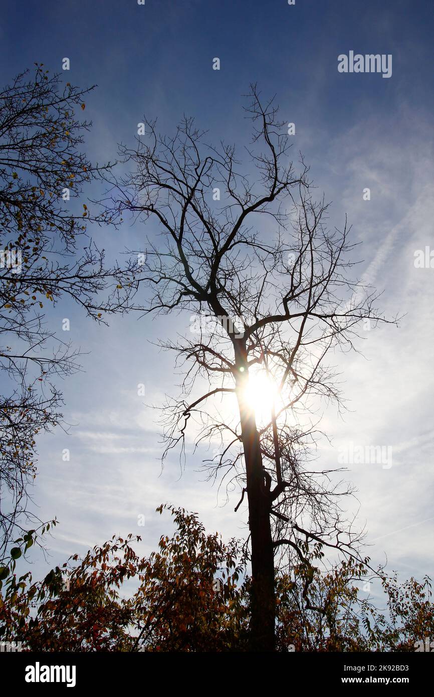 Autumn, Quarry Trails Metro Park, Columbus, Ohio Stock Photo - Alamy