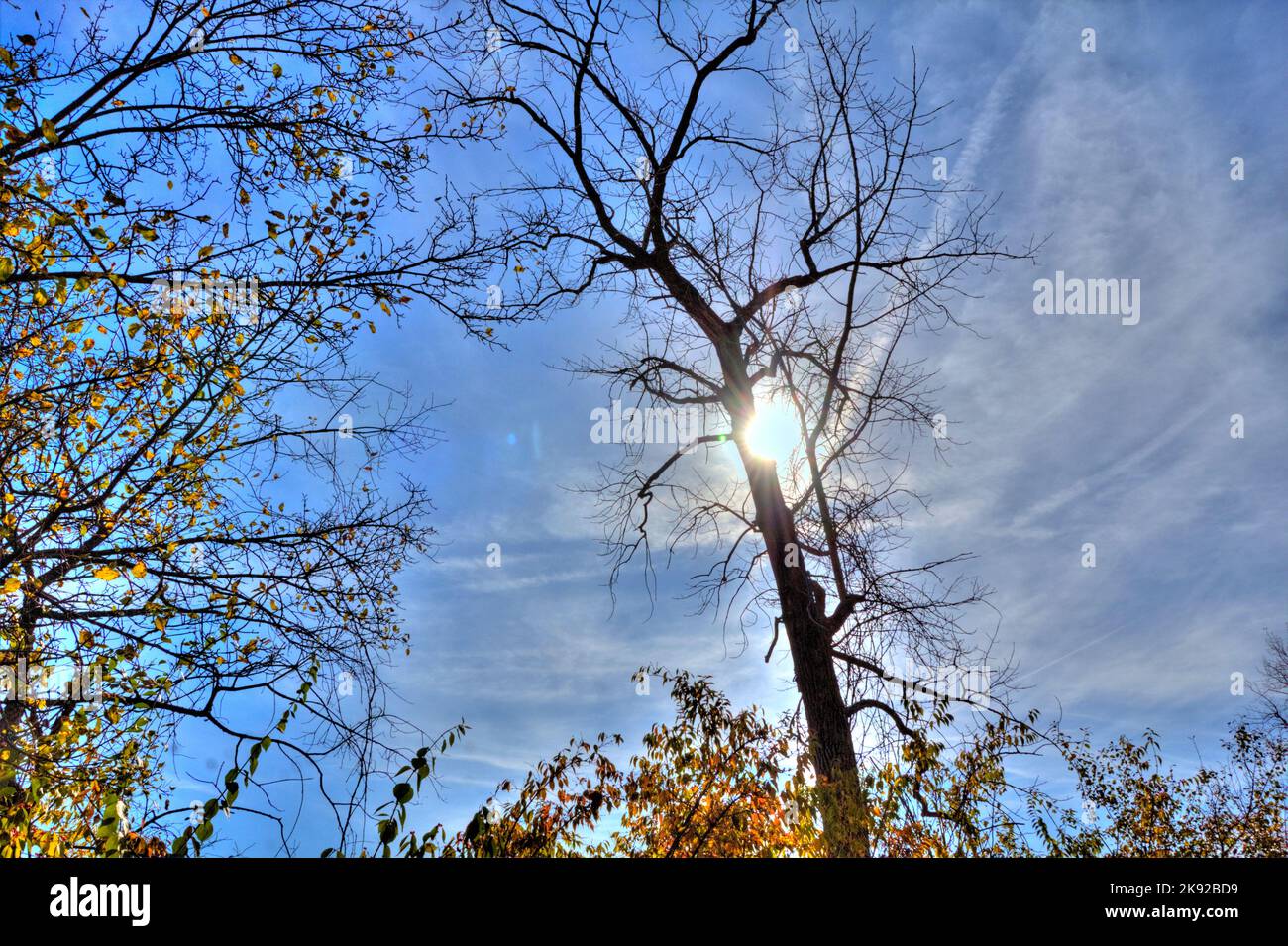 Autumn, Quarry Trails Metro Park, Columbus, Ohio Stock Photo - Alamy