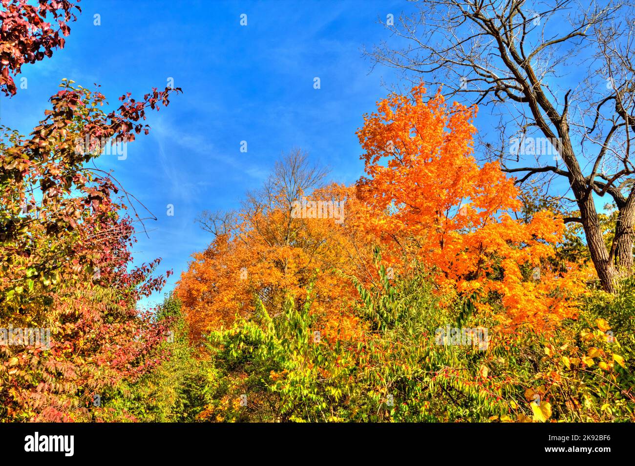Autumn, Quarry Trails Metro Park, Columbus, Ohio Stock Photo - Alamy