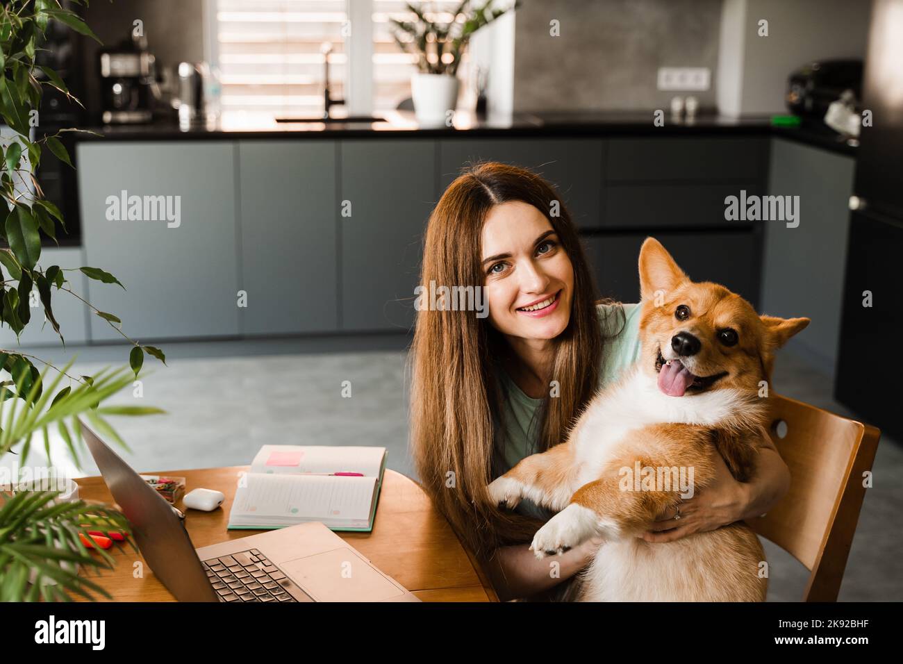 Girl with laptop smile and play with Corgi dog at home. Programmer ...