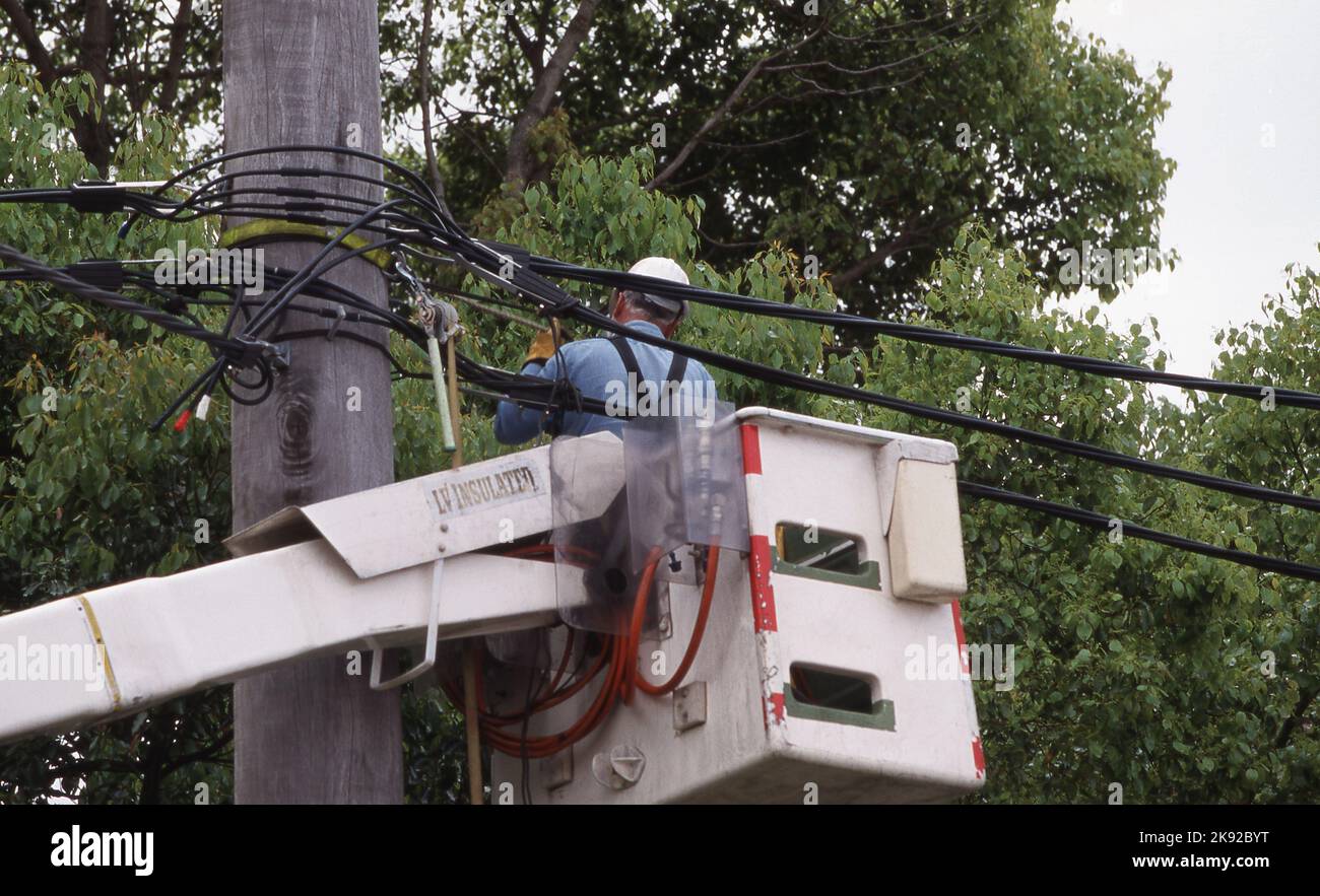 Power lines on poles pole hi-res stock photography and images - Alamy