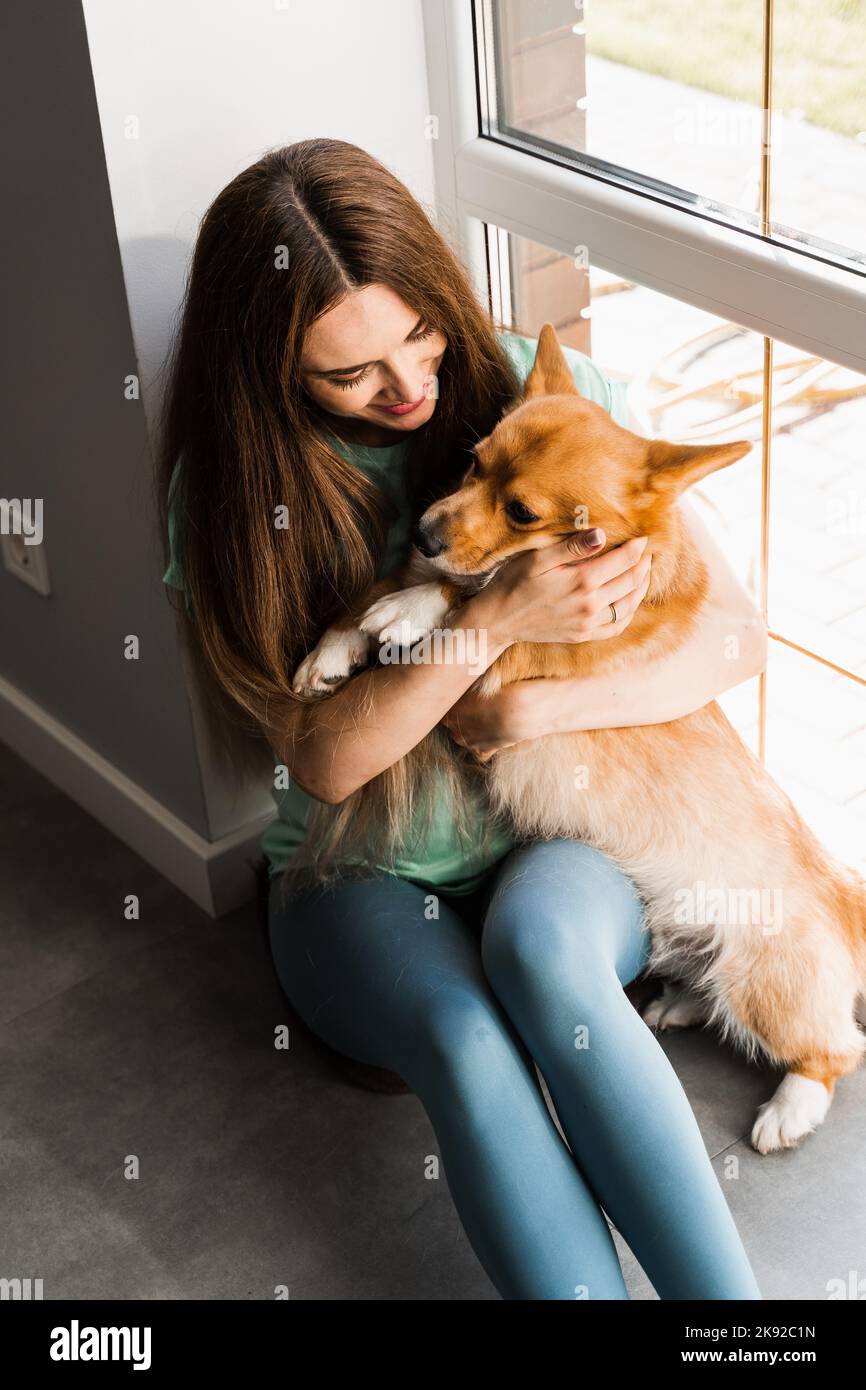 Attractive girl hug and play with corgi dog. Welsh Corgi Pembroke with ...