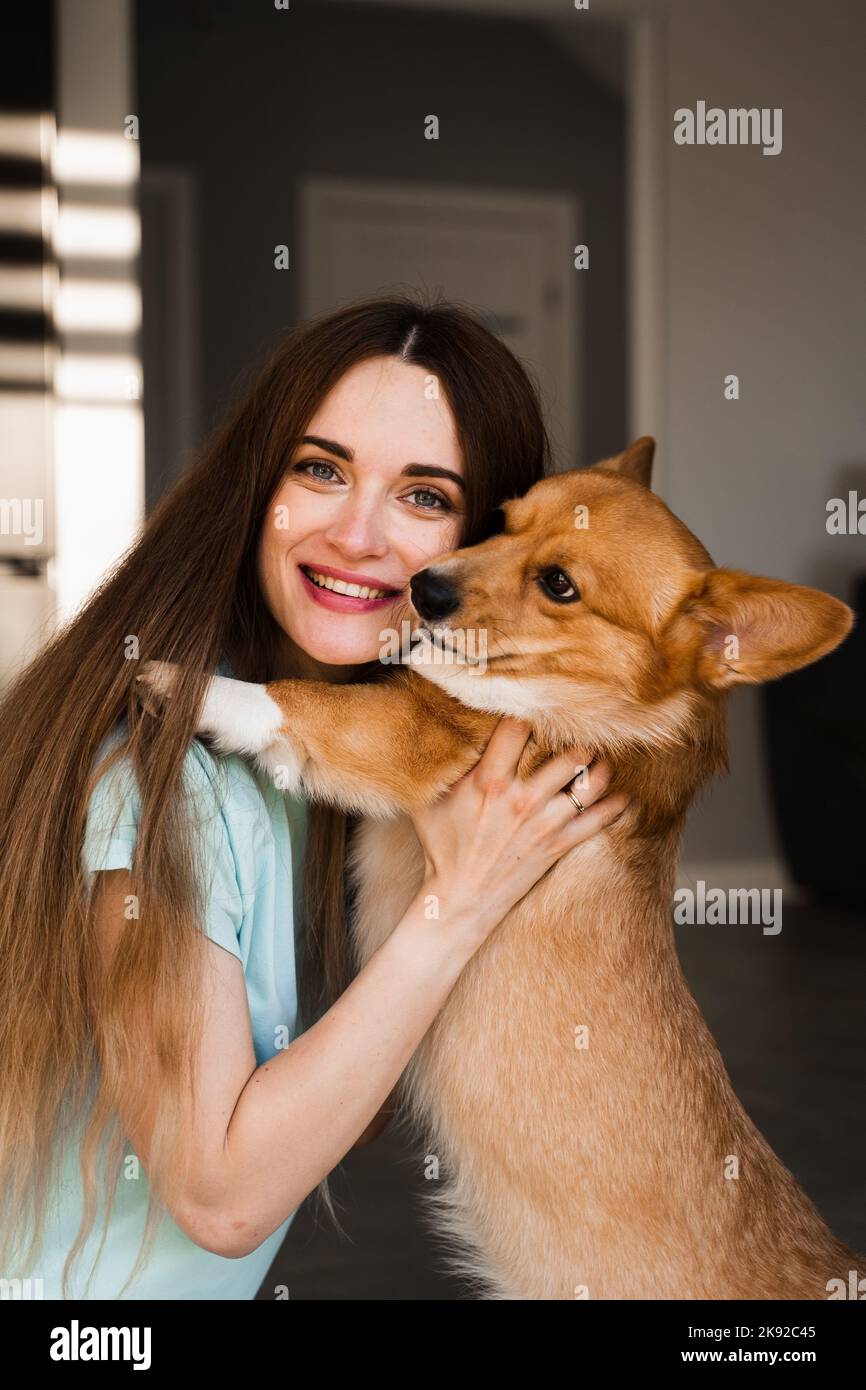 Welsh Corgi Pembroke dog kiss his girl owner at home. Lifestyle with ...