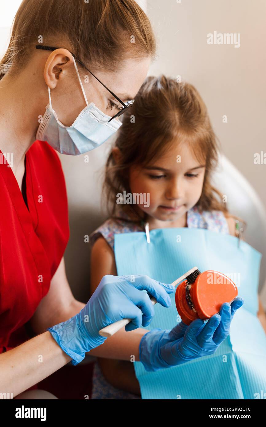 Oral hygiene lesson of jaw anatomical model for child in dentistry ...