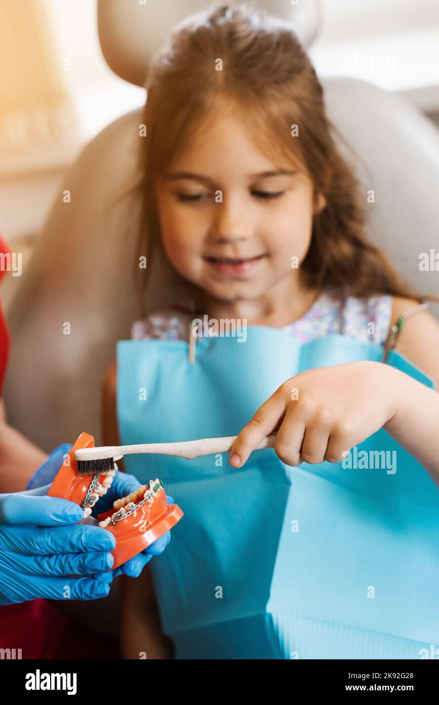 Jaw anatomical model teeth brushing close-up. Pediatric dentist ...