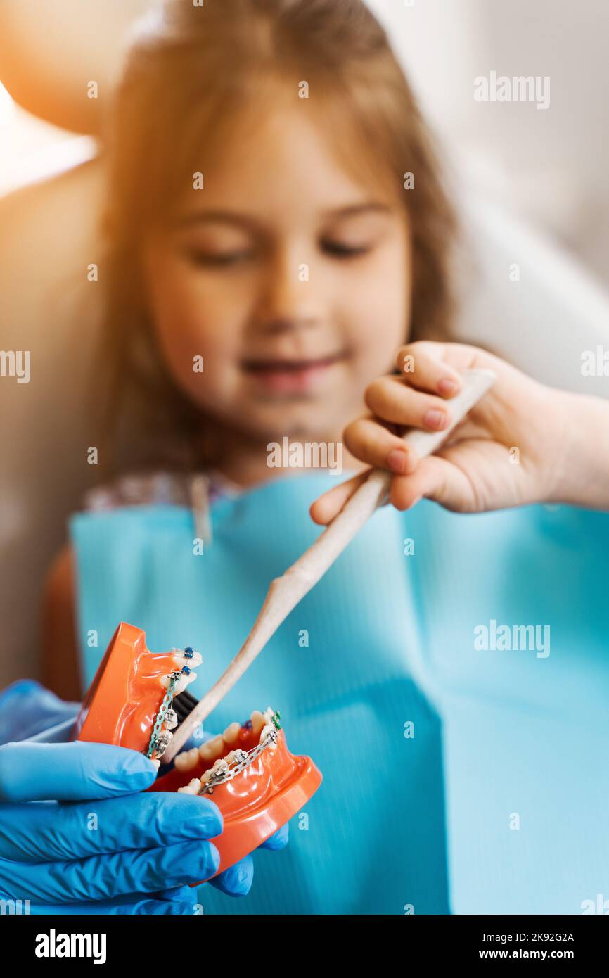 Jaw anatomical model teeth brushing close-up. Pediatric dentist ...