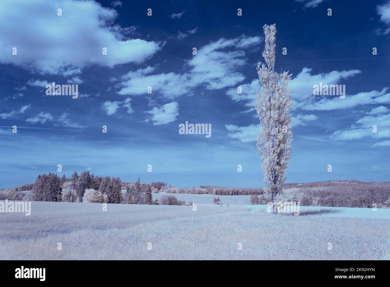infrared photography - ir photo of landscape under sky with clouds ...