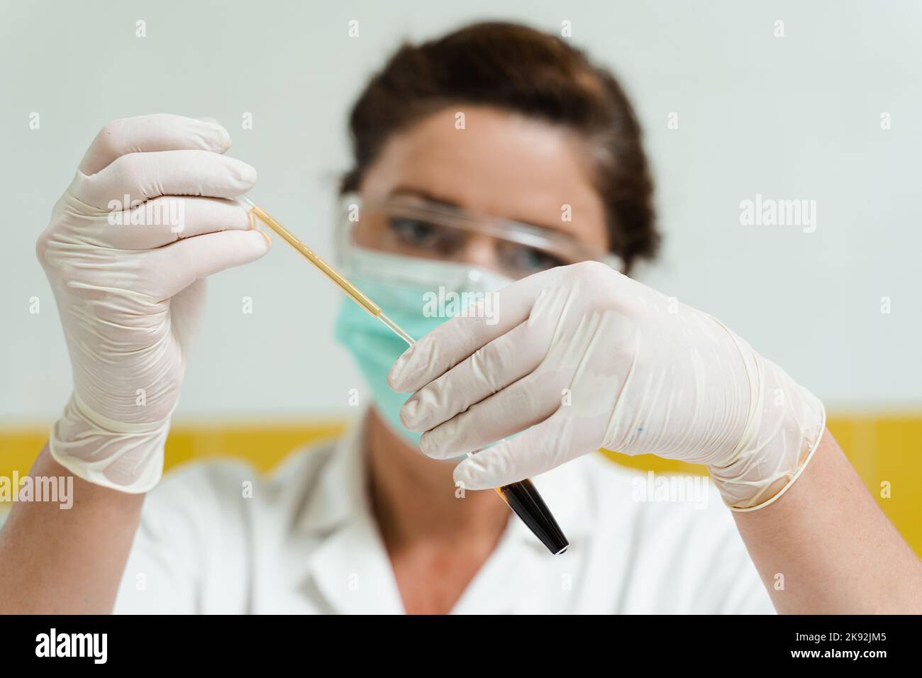 Analysis of blood plasma. The laboratory assistant holds a test tube ...