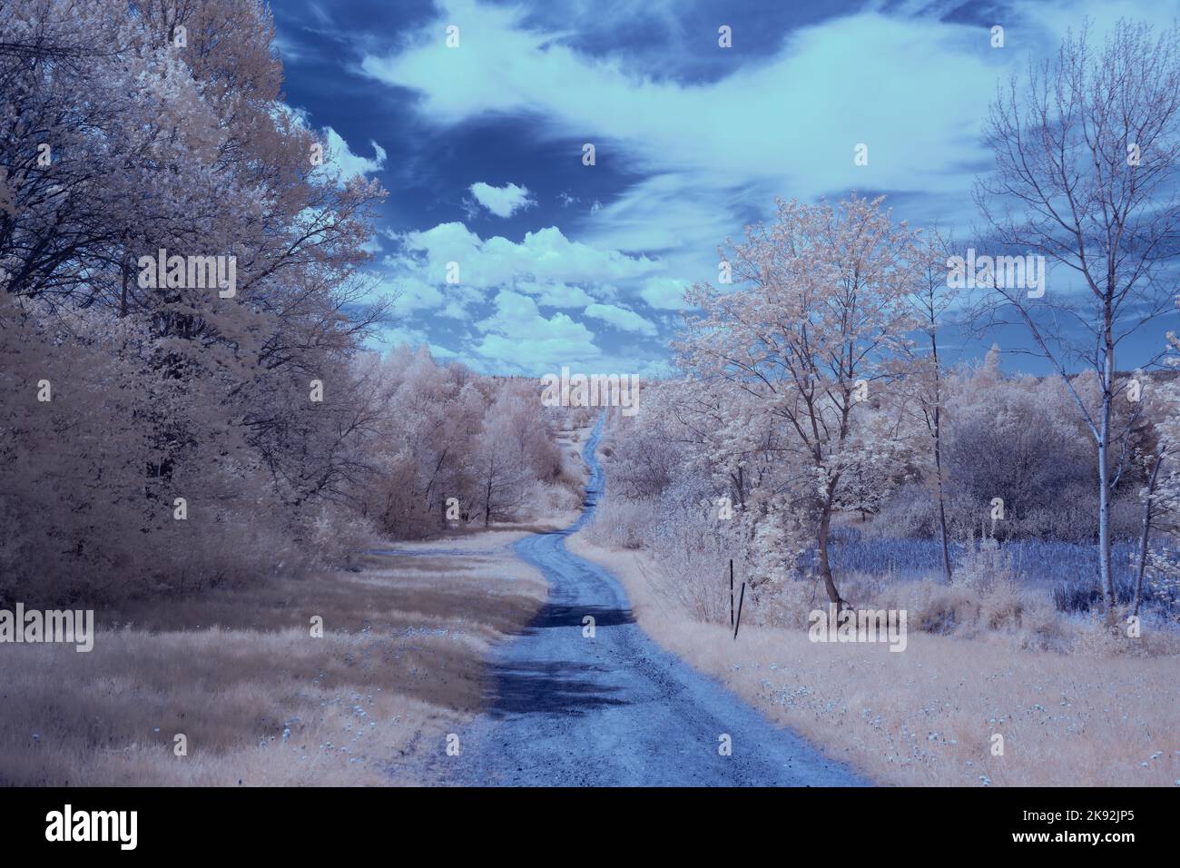 infrared photography - ir photo of landscape under sky with clouds ...