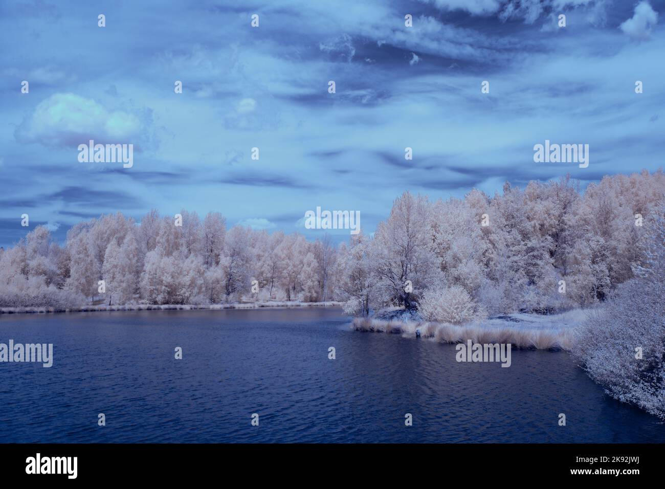 Infrared 720nm landscape with glowing white vegetation, surreal ...