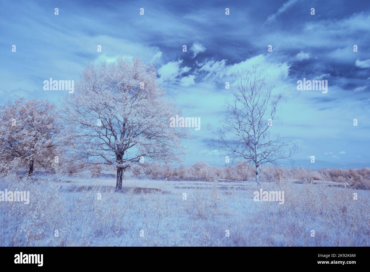 infrared photography - ir photo of landscape under sky with clouds ...