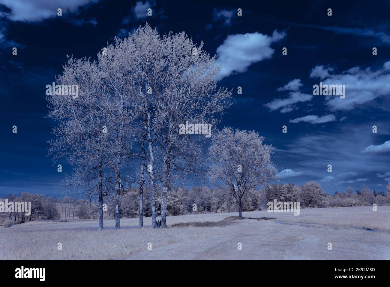 infrared photography - ir photo of landscape under sky with clouds ... infrared photography - ir photo of landscape under sky with clouds ...