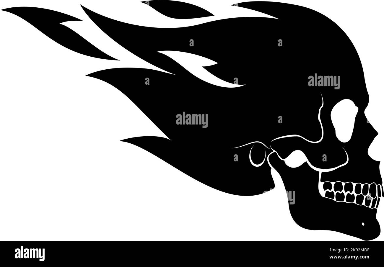 Flying Fire Skull Illustration Design Template. Suitable for Creative ...