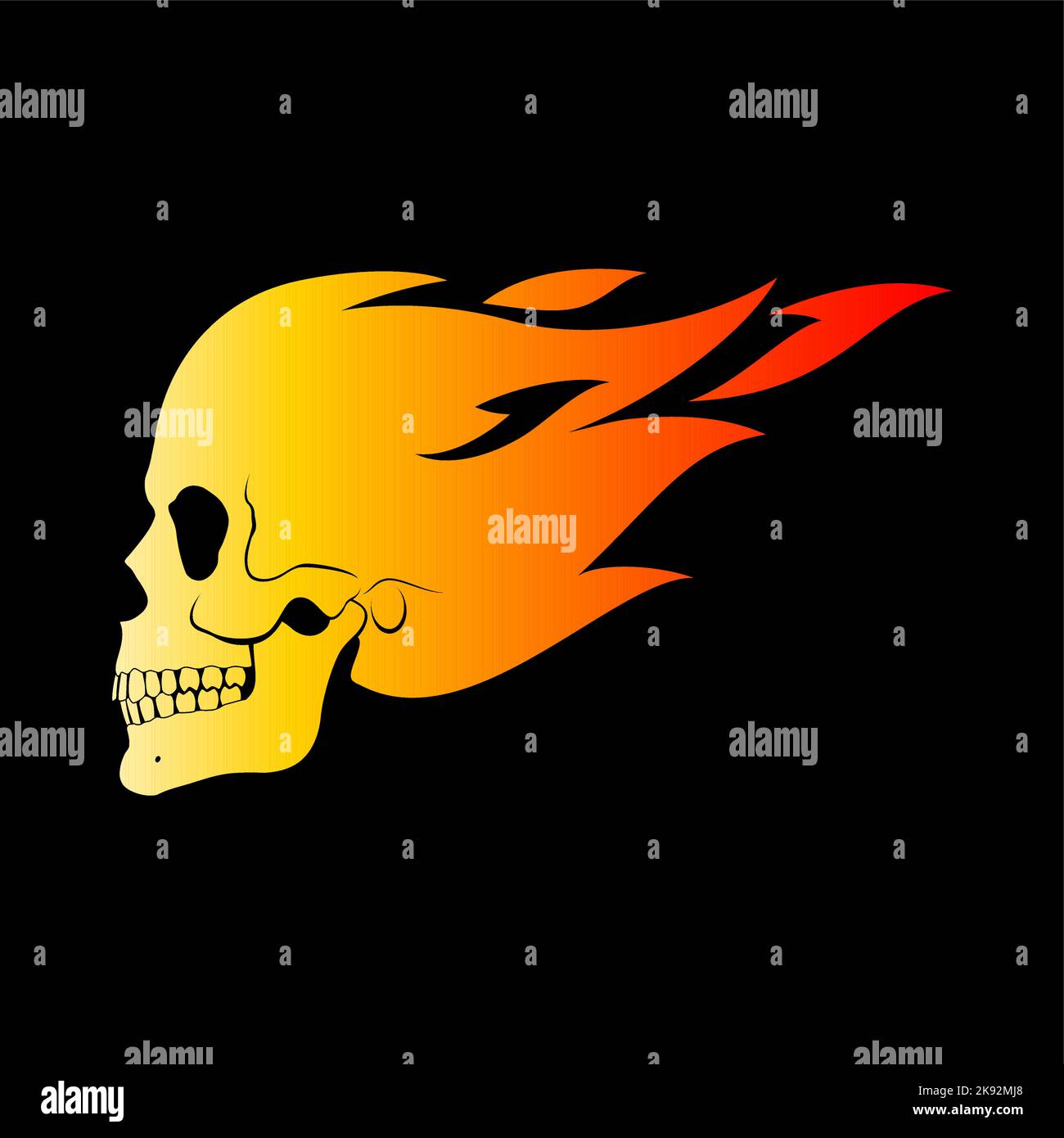 Flying Fire Skull Illustration Design Template. Suitable for Creative ...