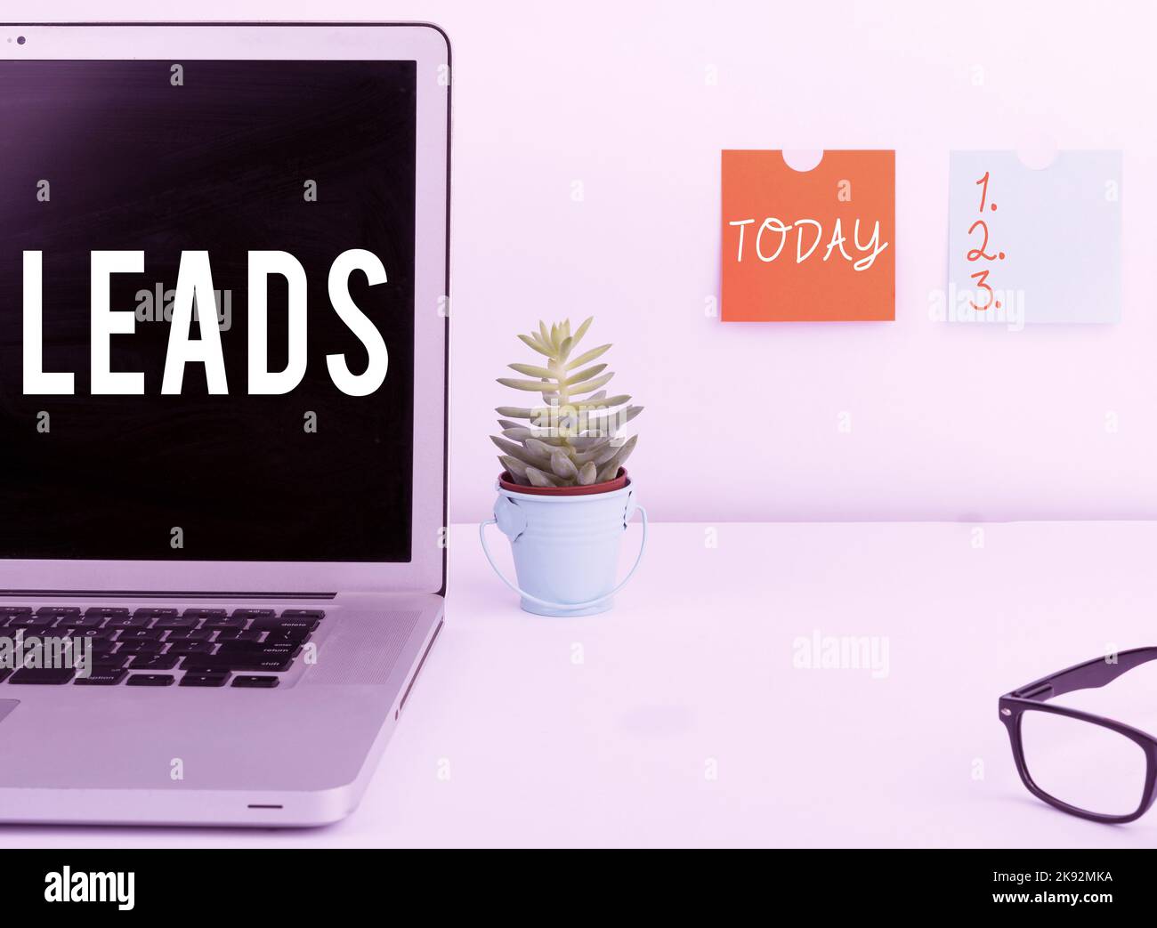 Conceptual caption Leads. Business overview demographic information of ... Conceptual caption Leads. Business overview demographic information of ...