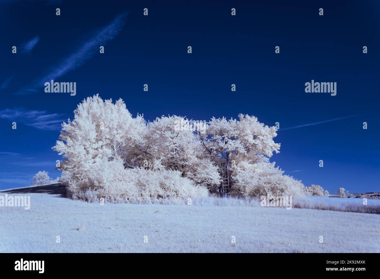 infrared photography - ir photo of landscape under sky with clouds ...