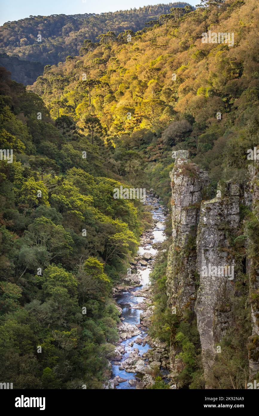 Southern Brazil canyon and river landscape at peaceful sunrise Stock ...