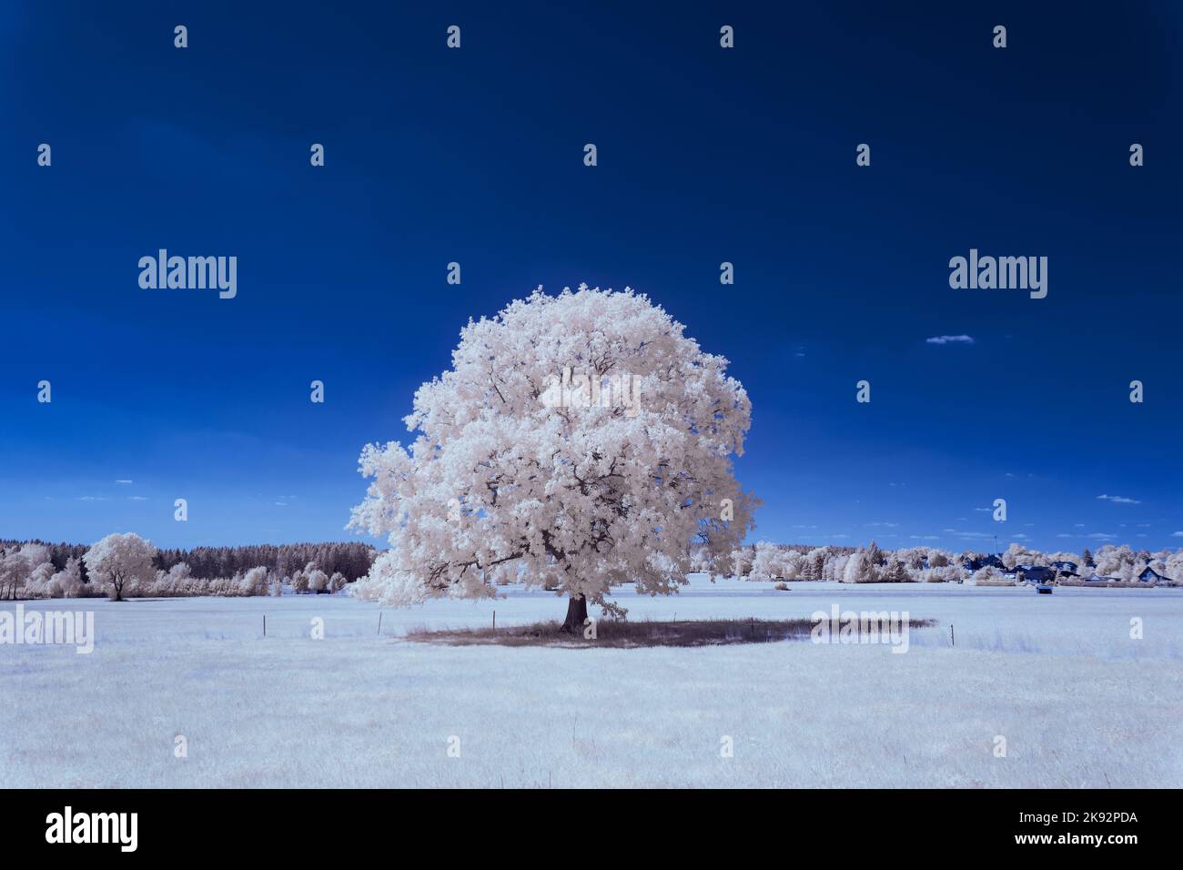 infrared photography - ir photo of landscape under sky with clouds ...