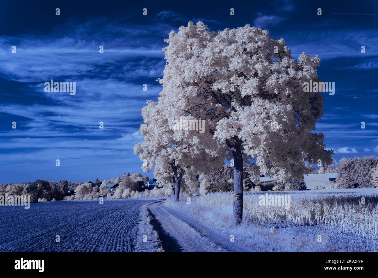 infrared photography - ir photo of landscape under sky with clouds ...