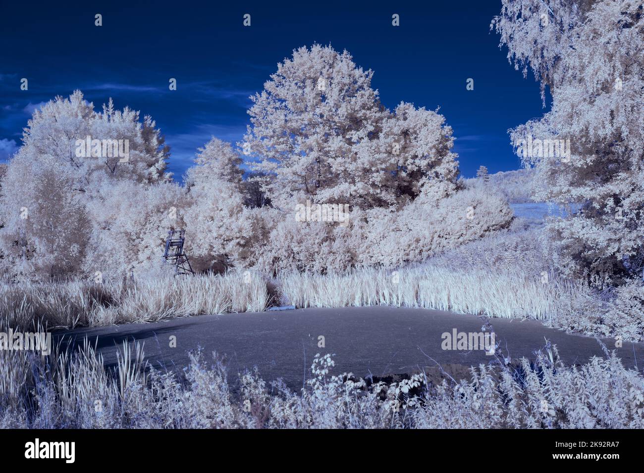 infrared photography - ir photo of landscape under sky with clouds ...