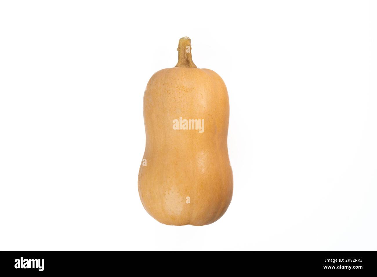 Butternut Pumpkin isolated on a white background. Perfect pumpkin for ...