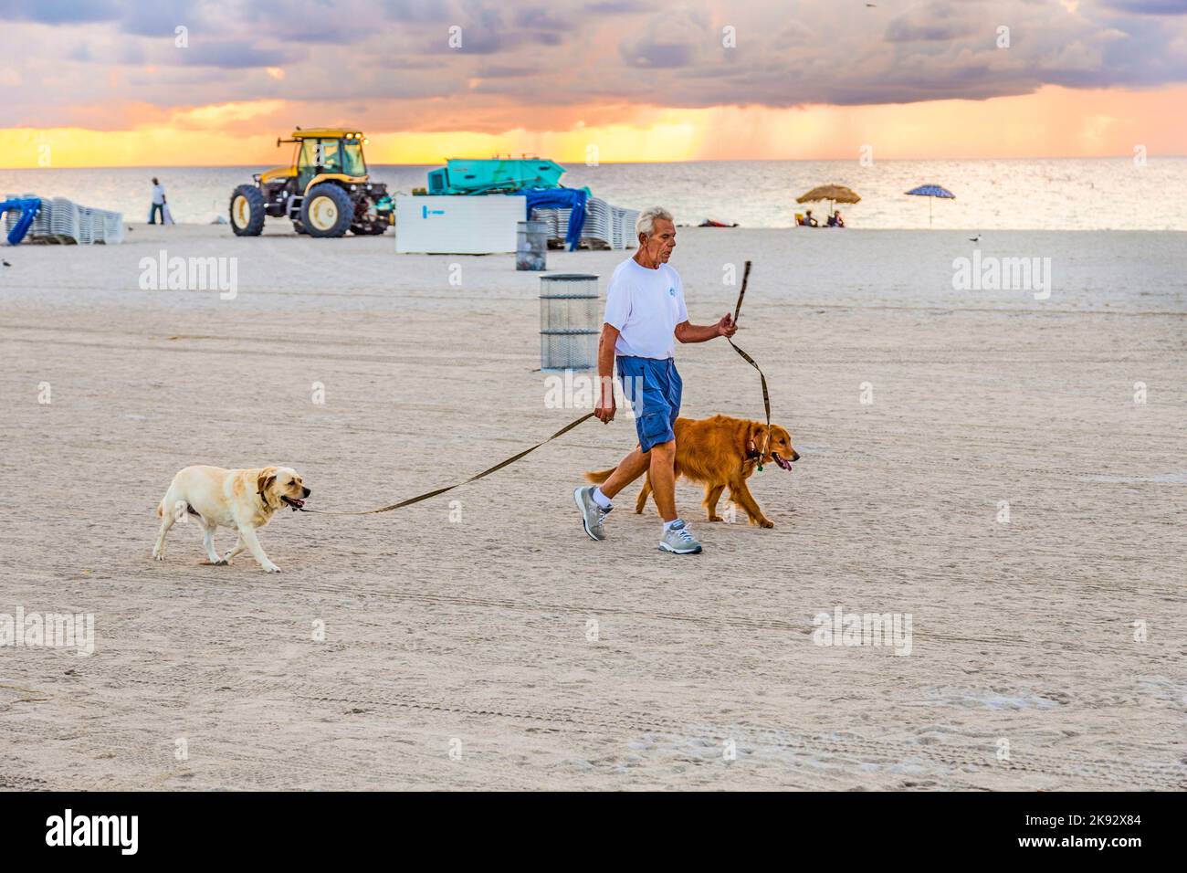 MIAMI, USA - AUG 7, 2013: man in late afternoon walks along south beach ...