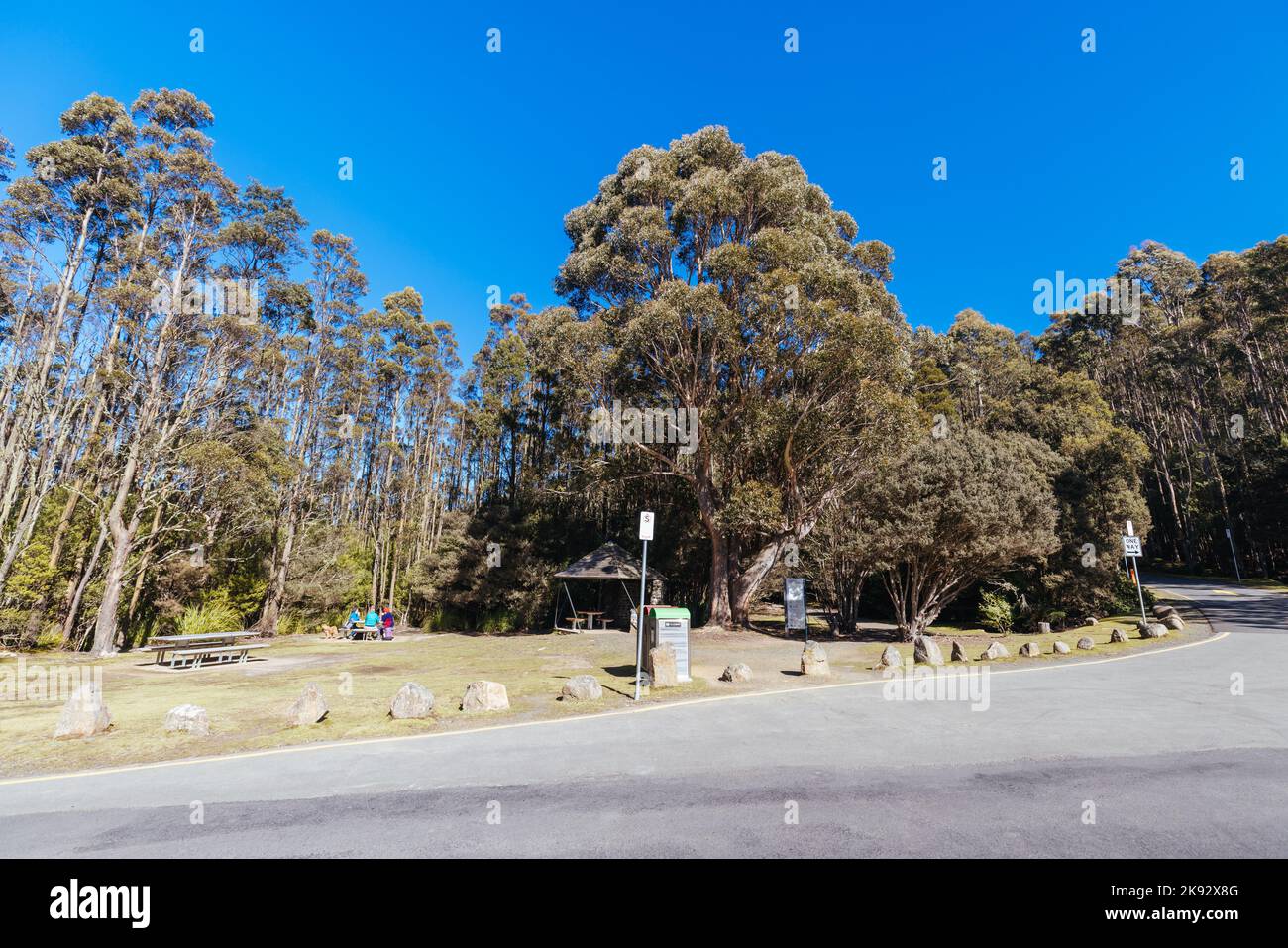 The Springs Wellington Park Tasmania Australia Stock Photo - Alamy