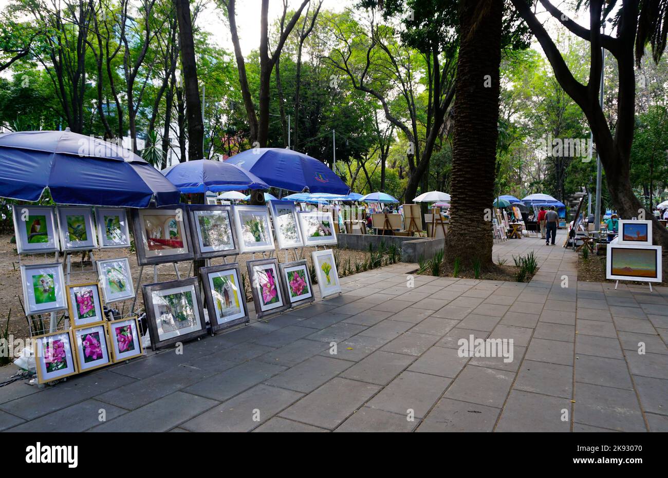 Community garden city mexico hi-res stock photography and images - Alamy