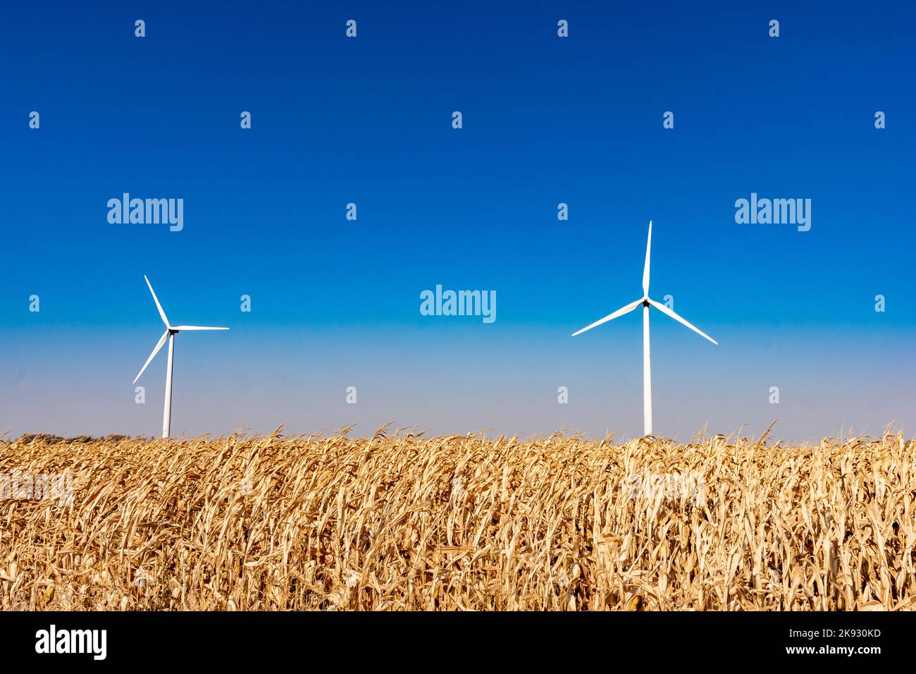 Wind turbine at a windmill farm outside a major city in the United ...