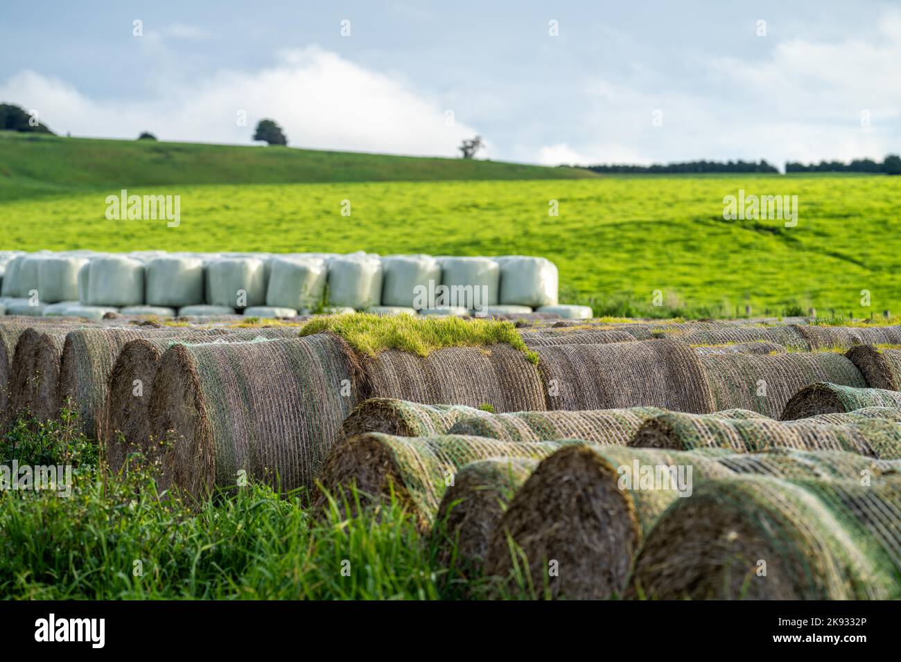 Black silage wrap hi-res stock photography and images - Alamy