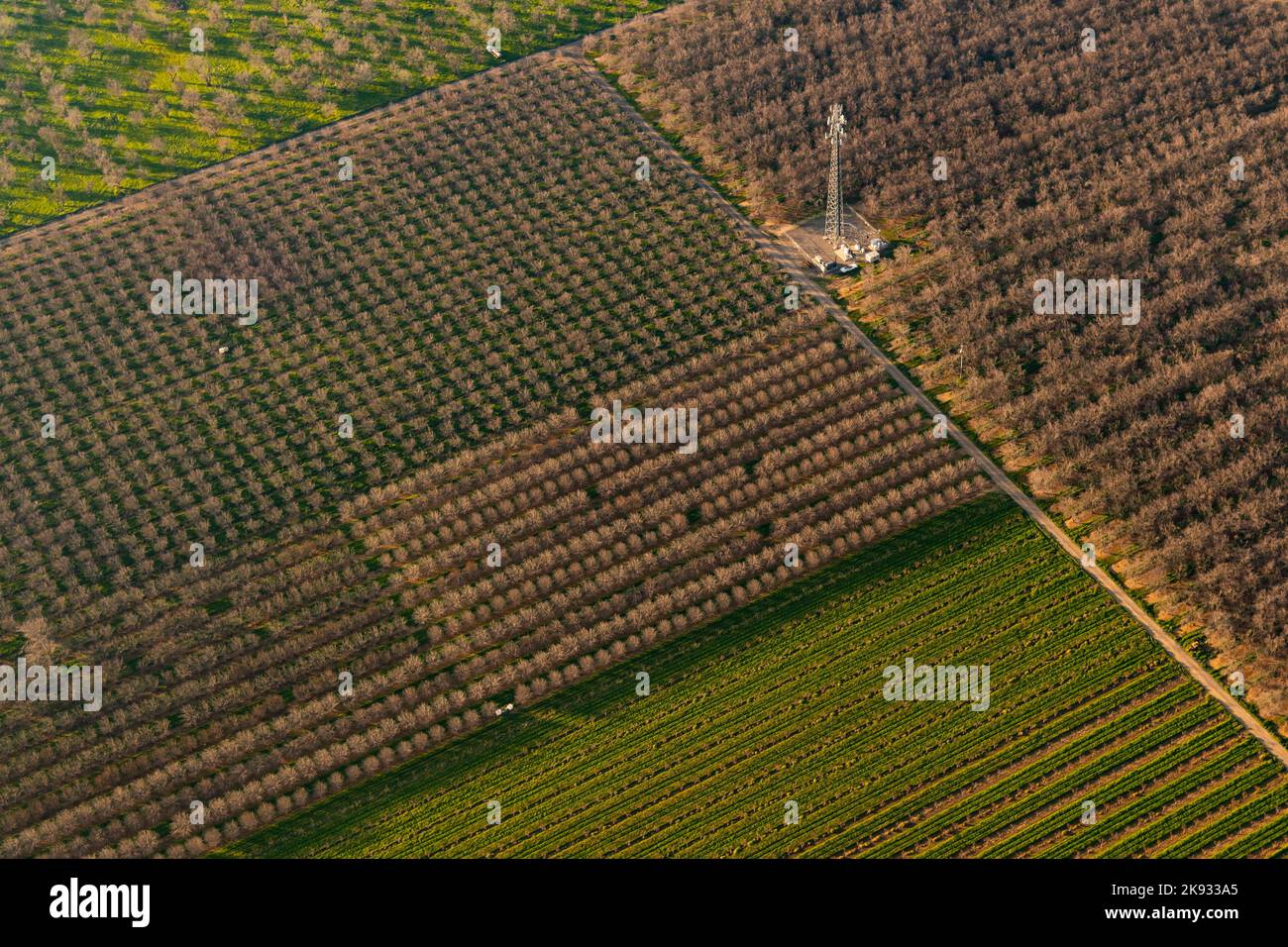 Orchard rows surrounded by farmland, aerial photograph Stock Photo - Alamy