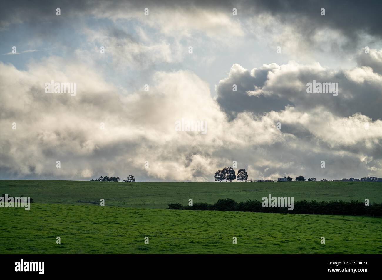 farming landscapes in spring time in new zealand Stock Photo - Alamy