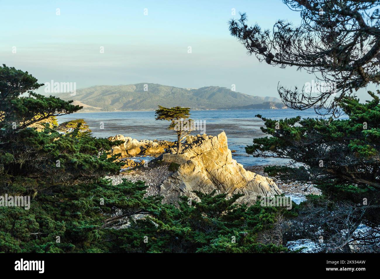 MONTEREY, CALIFORNIA - JUL 26, 2008: Lone Cypress tree view along ...