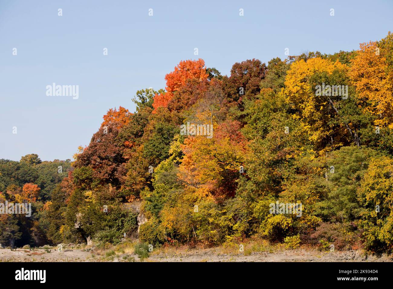 Trees full of fall color and blue sky background on an autumn day in ...