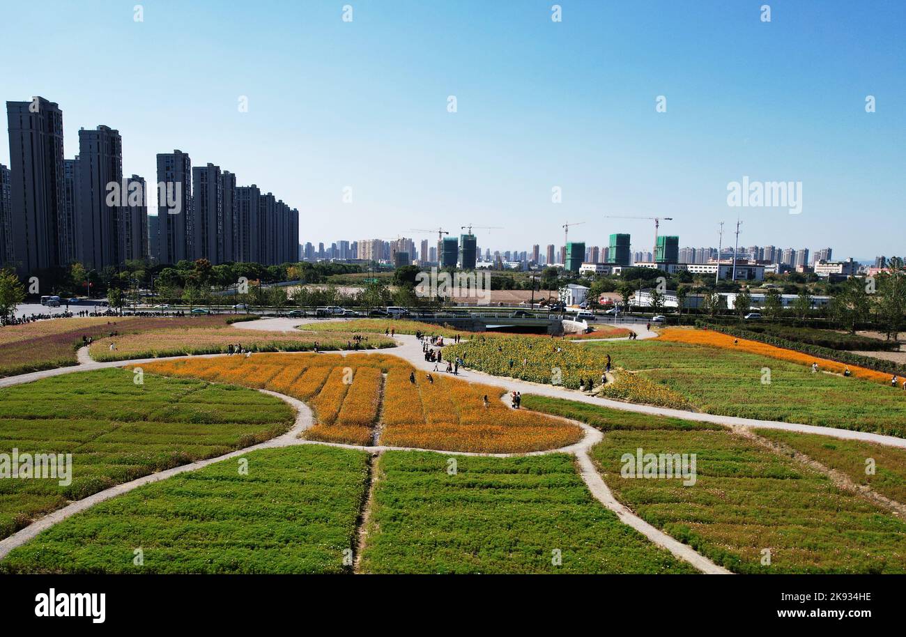 HANGZHOU, CHINA - OCTOBER 26, 2022 - Photo shows tourists viewing ...