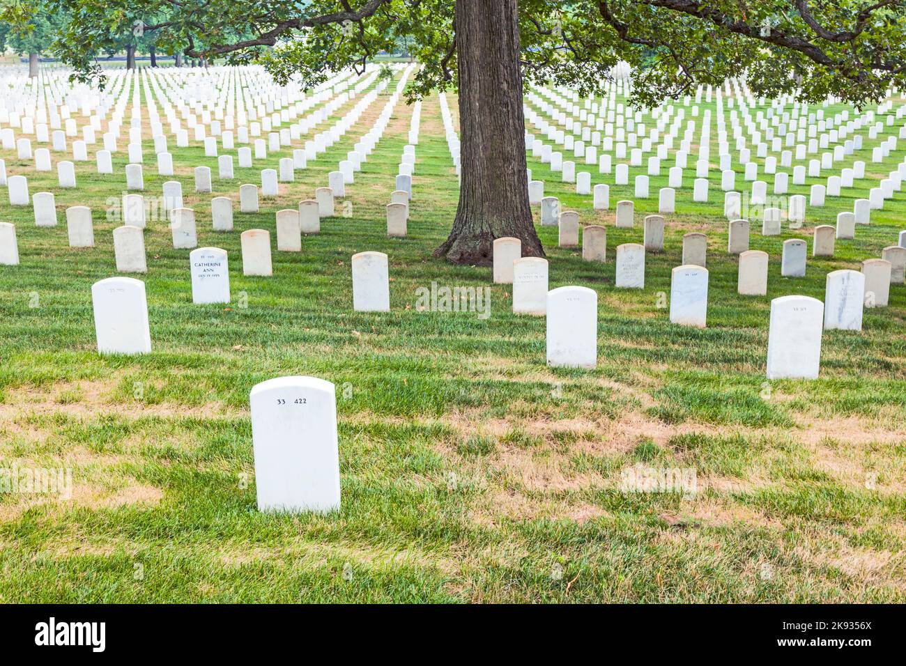 WASHINGTON DC - CIRCA JUNE 2009: Gravestones on Arlington National ...