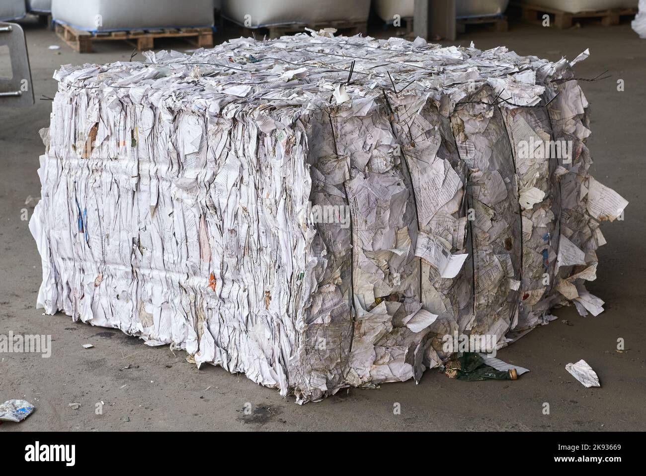 Pressed recycling paper on floor at waste processing plant Stock Photo ...