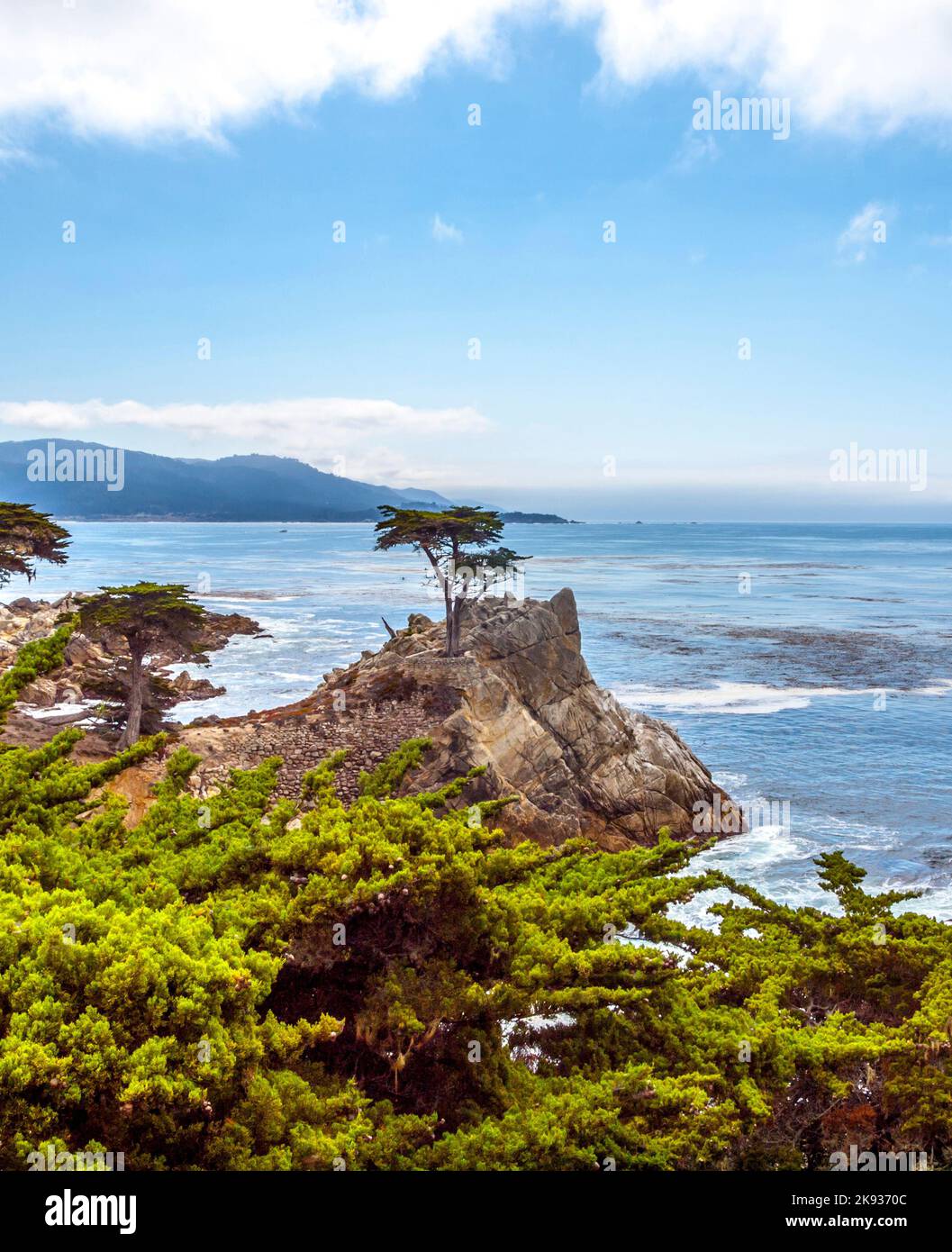 Most photographed tree in north america hi-res stock photography and ...