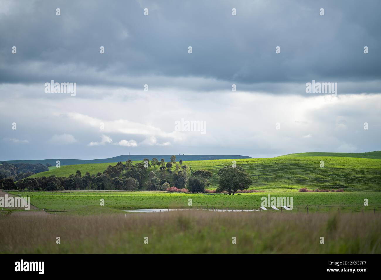 agriculture technology sustainable organic food production on a cattle ...