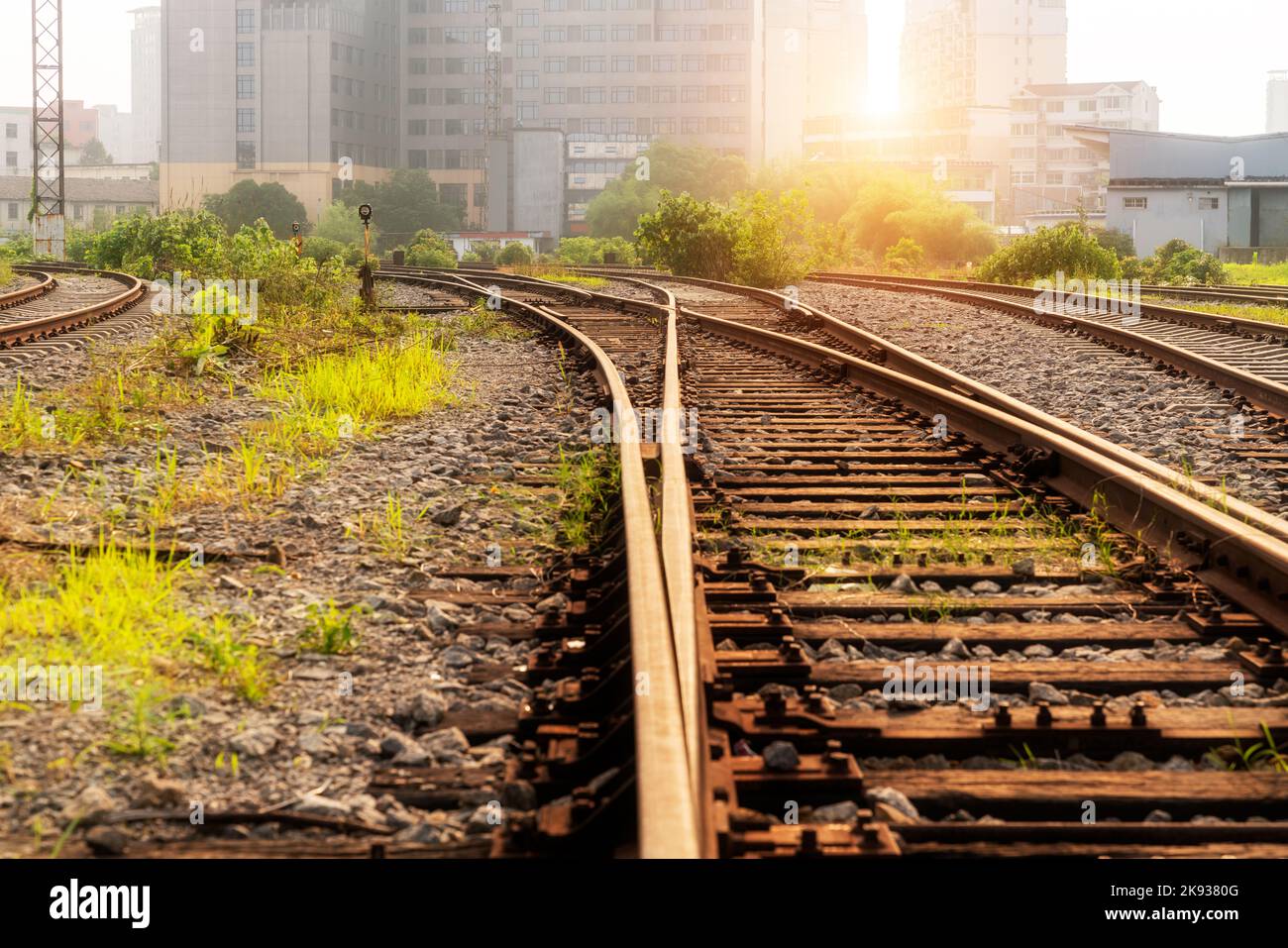 Cargo train platform at sunset with container Stock Photo - Alamy