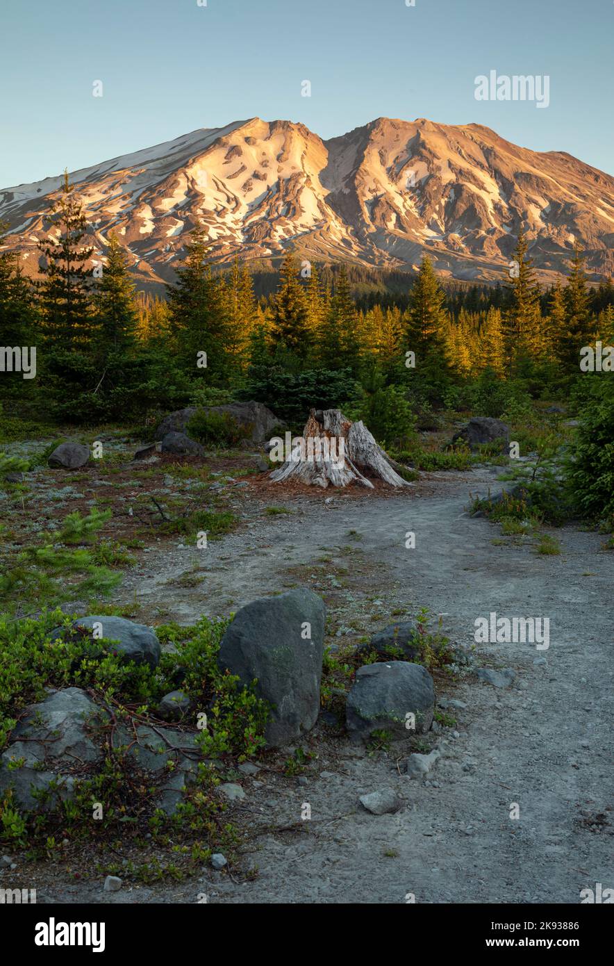WA22513-00...WASHINGTON - Early morning light on Mount St. Helens from ...