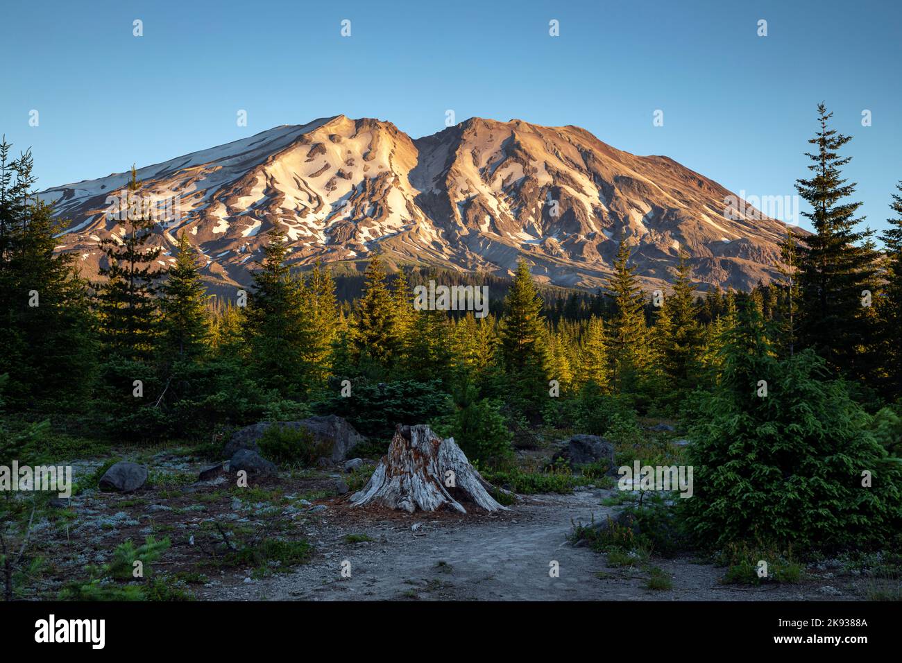 WA22514-00...WASHINGTON - Early morning light on Mount St. Helens from ...