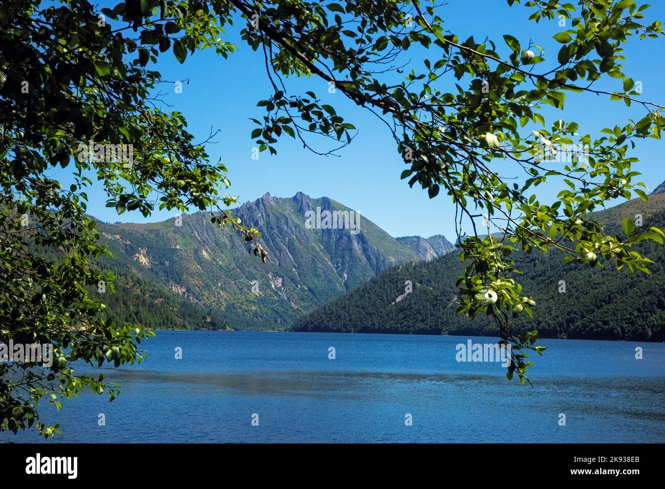WA22521-00...WASHINGTON - Coldwater Lake, formed by the eruption of ...